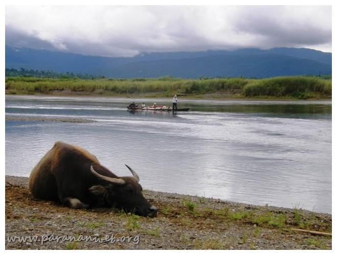 Paranan Place | Paranan Web