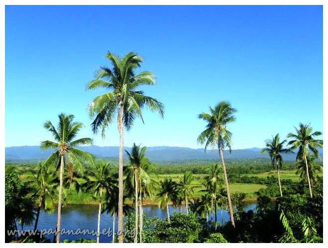 Paranan Place | Paranan Web